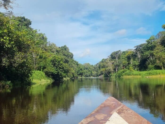 Viaje a la Selva Amazónica en Perú